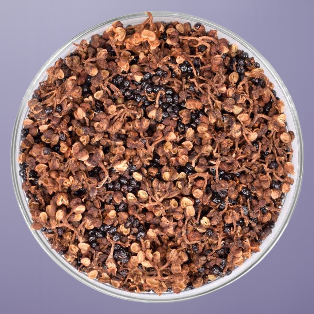 Andaliman pepper, whole | Spices Munich